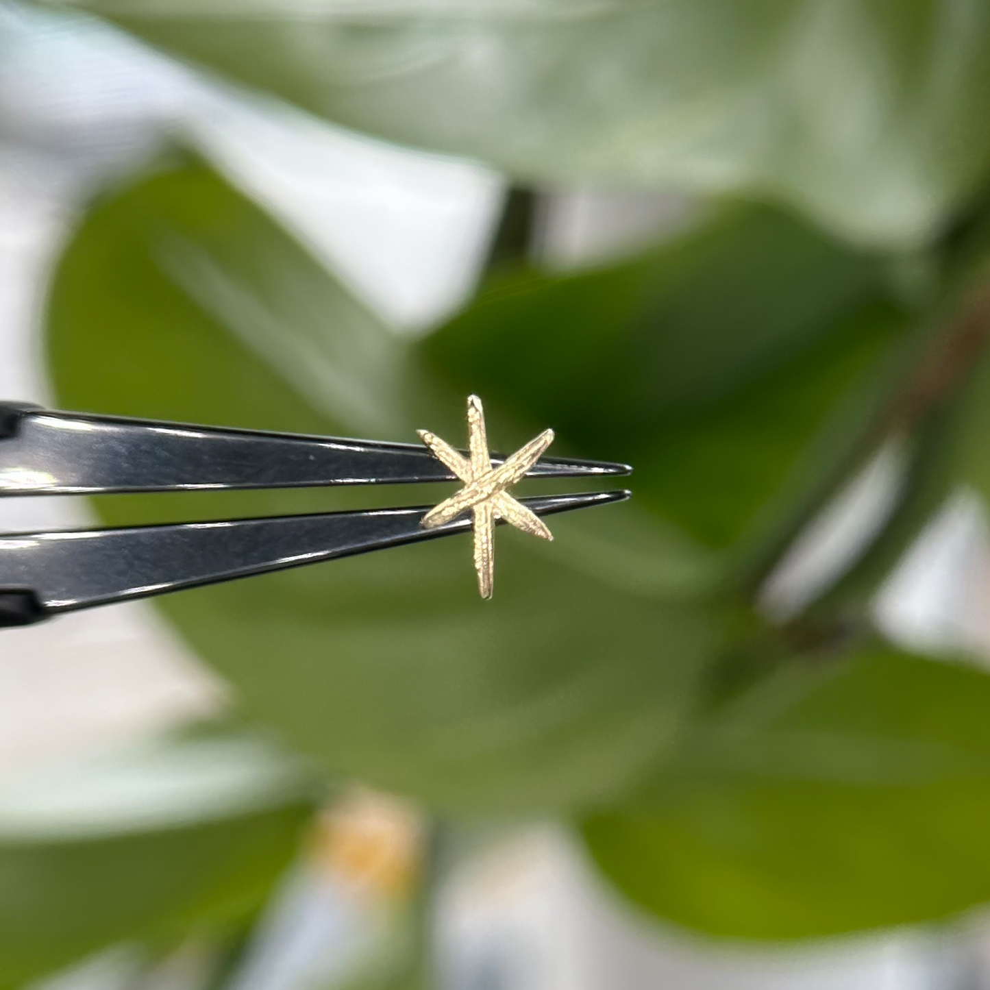 Van Gogh's Starry Night Petit Threaded End – So Gold Studios